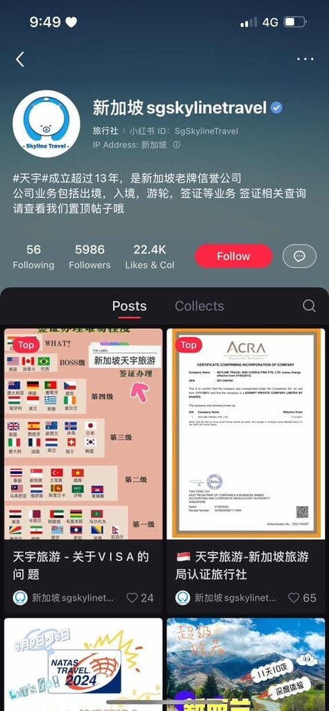 XHS Singapore : Xiao Hong Shu 新加坡小红书 Marketing, 代运营, 企业号, 蓝勾, 投流, 聚光 ...